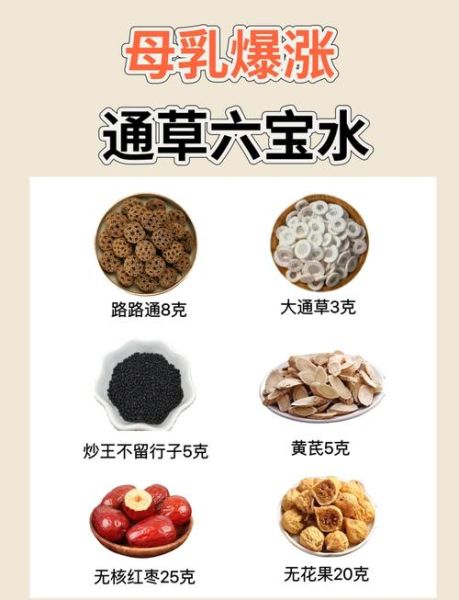 通草怎么吃_通草煲汤的正确方法-第3张图片-山城妙识