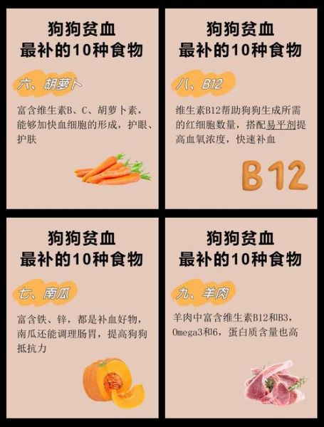 贫血吃什么可以补_贫血吃什么补血最快-第2张图片-山城妙识 贫血吃什么可以补_贫血吃什么补血最快-第2张图片-山城妙识