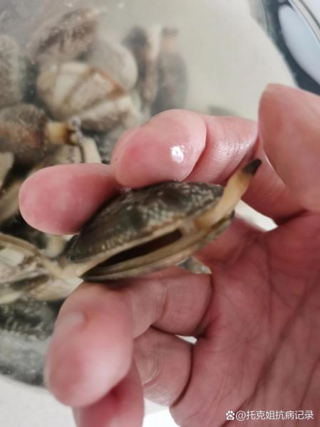 花甲泡了一夜全死了_还能吃吗-第1张图片-山城妙识 花甲泡了一夜全死了_还能吃吗-第1张图片-山城妙识