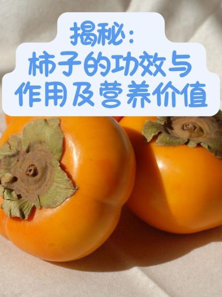 多吃柿子有什么好处_吃柿子能补什么营养-第2张图片-山城妙识