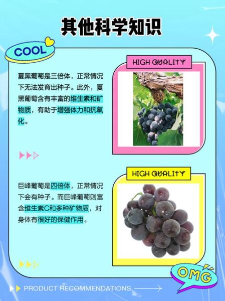 夏黑葡萄和巨峰葡萄的区别_哪个更甜更好吃-第1张图片-山城妙识