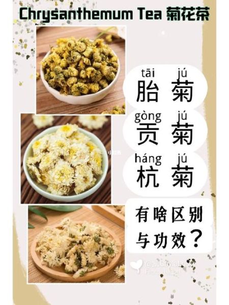 杭菊花泡水喝的功效_杭菊花和胎菊哪个好-第1张图片-山城妙识