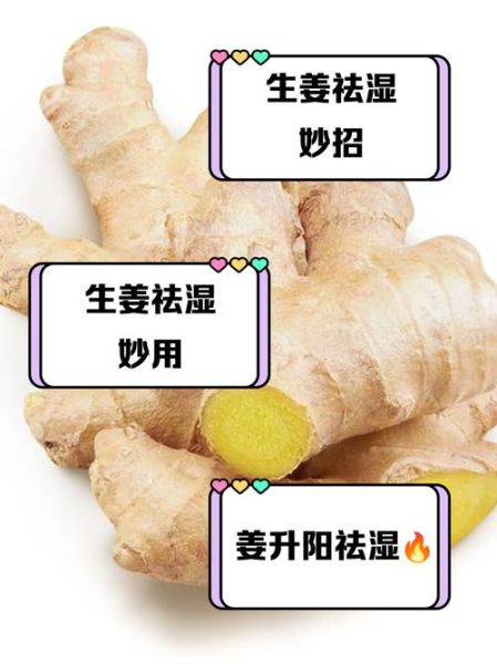 生姜怎么吃才能去湿气_生姜去湿气的正确吃法-第2张图片-山城妙识 生姜怎么吃才能去湿气_生姜去湿气的正确吃法-第2张图片-山城妙识