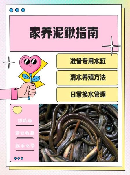 泥鳅怎么杀_泥鳅怎么洗黏膜-第1张图片-山城妙识