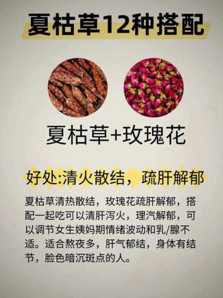 夏枯草能治乳腺增生吗_多久见效-第3张图片-山城妙识 夏枯草能治乳腺增生吗_多久见效-第3张图片-山城妙识