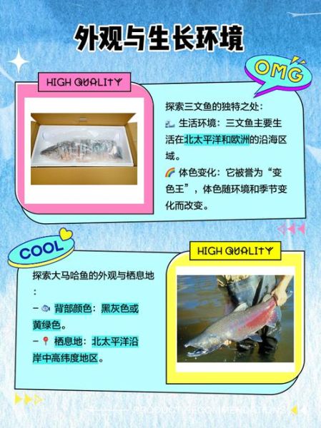 马哈鱼和三文鱼的区别_哪个更好吃-第1张图片-山城妙识