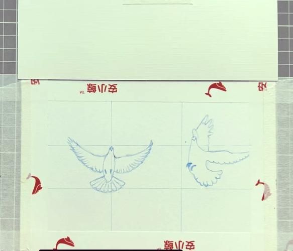 鸽子怎么画_手绘鸽子教程-第2张图片-山城妙识 鸽子怎么画_手绘鸽子教程-第2张图片-山城妙识