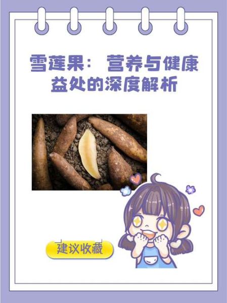 雪莲果的功效与作用有哪些_雪莲果怎么吃最健康-第1张图片-山城妙识