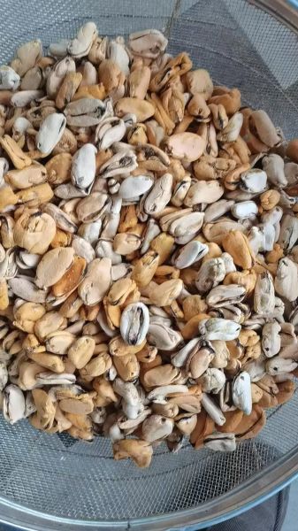 干海虹怎么泡发_干海虹的家常做法-第3张图片-山城妙识 干海虹怎么泡发_干海虹的家常做法-第3张图片-山城妙识