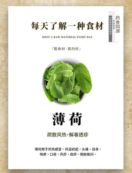 薄荷减肥真的有用吗_薄荷减肥副作用有哪些-第2张图片-山城妙识