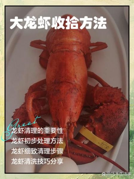 大龙虾怎么清洗_大龙虾怎么做才好吃-第1张图片-山城妙识