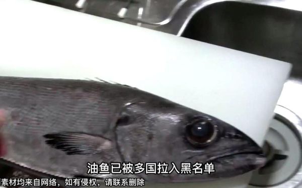 油鱼吃了会怎么样_油鱼中毒症状-第3张图片-山城妙识