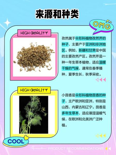 小茴香和孜然一样吗_怎么区分小茴香孜然-第1张图片-山城妙识