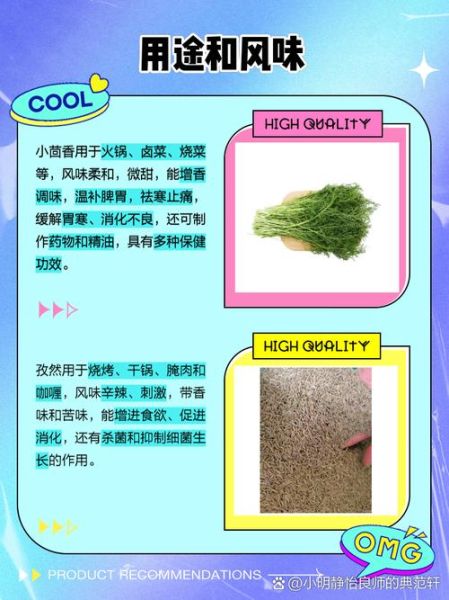 小茴香和孜然一样吗_怎么区分小茴香孜然-第2张图片-山城妙识