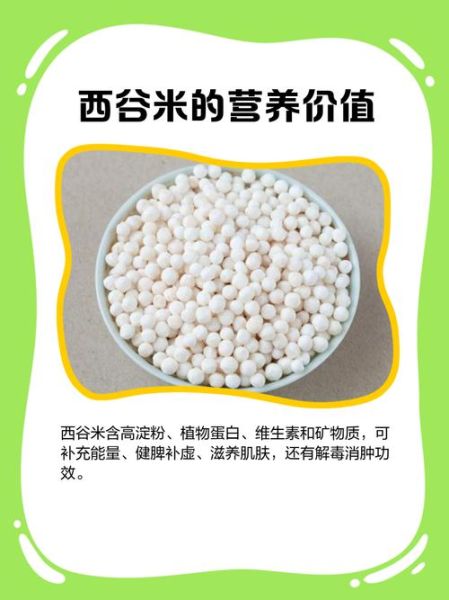 西米有什么功效与作用_西米多少钱一斤-第2张图片-山城妙识