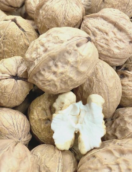 鲜核桃怎么吃才最好_鲜核桃一天吃多少合适-第2张图片-山城妙识