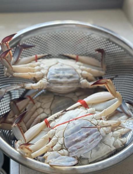 梭子蟹蒸多长时间最佳_蒸梭子蟹冷水还是热水下锅-第1张图片-山城妙识