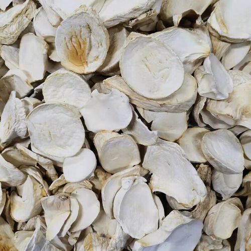 白灵菇图片_如何挑选新鲜白灵菇-第1张图片-山城妙识