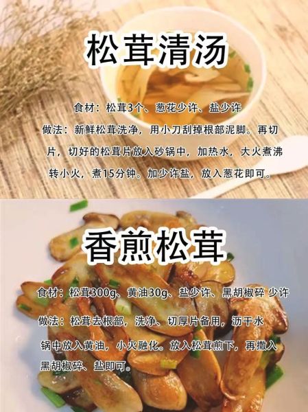 新鲜松茸怎么吃_松茸最佳做法大全-第1张图片-山城妙识