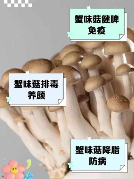 蟹腿菇是什么_蟹腿菇怎么吃-第3张图片-山城妙识