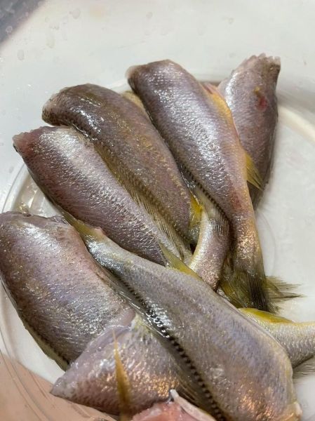 炸小黄花鱼怎么做_炸小黄花鱼酥脆不掉皮-第2张图片-山城妙识