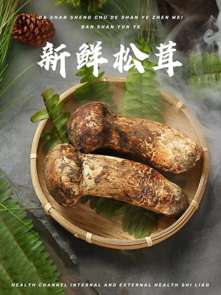 野生松茸多少钱一斤_如何辨别真假野生松茸-第2张图片-山城妙识 野生松茸多少钱一斤_如何辨别真假野生松茸-第2张图片-山城妙识