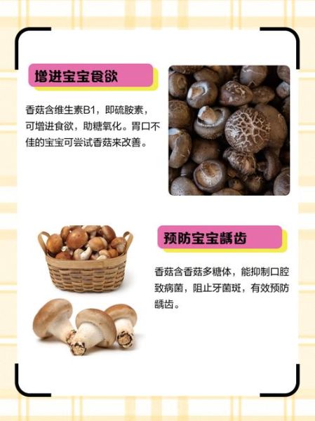 香菇的营养价值_吃香菇能补什么-第3张图片-山城妙识