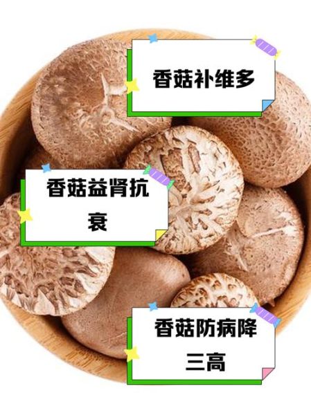 香菇的营养价值_吃香菇能补什么-第2张图片-山城妙识