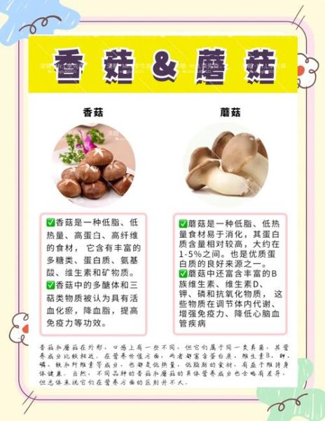 香菇的营养价值_吃香菇能补什么-第1张图片-山城妙识