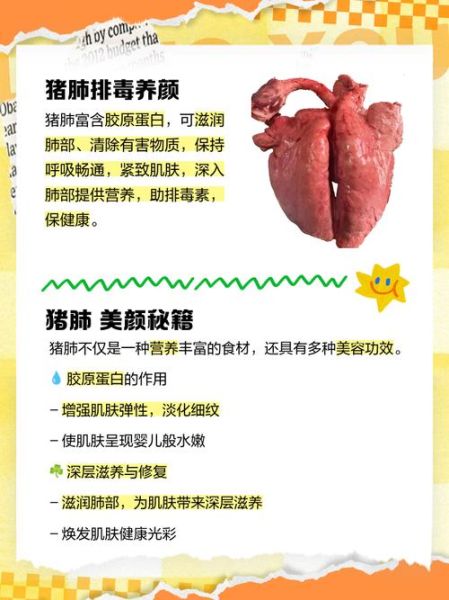 猪肺的功效与作用_猪肺的禁忌人群-第1张图片-山城妙识