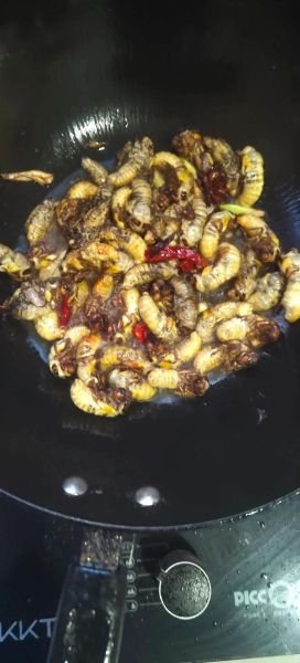 干煸蚕蛹怎么做好吃_家常干煸蚕蛹做法大全-第1张图片-山城妙识 干煸蚕蛹怎么做好吃_家常干煸蚕蛹做法大全-第1张图片-山城妙识