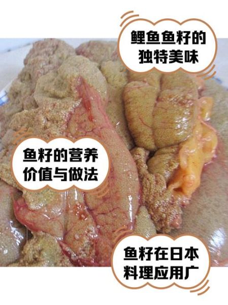 鲤鱼鱼籽的营养价值_孕妇能吃吗-第2张图片-山城妙识