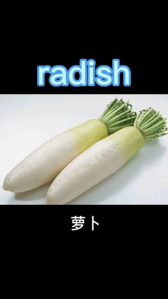 萝卜的拼音怎么写_萝卜拼音声调是几声-第1张图片-山城妙识 萝卜的拼音怎么写_萝卜拼音声调是几声-第1张图片-山城妙识