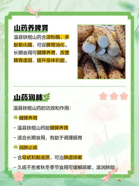 铁棍山药的功效与作用_适合哪些人吃-第3张图片-山城妙识