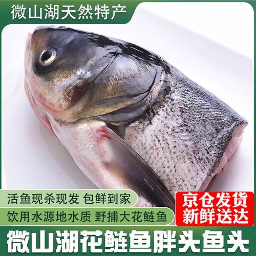 胖头鱼头怎么做好吃_胖头鱼头视频教程-第3张图片-山城妙识