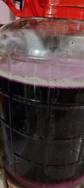 自制葡萄酒有毒吗_自酿葡萄酒中毒真相-第1张图片-山城妙识 自制葡萄酒有毒吗_自酿葡萄酒中毒真相-第1张图片-山城妙识