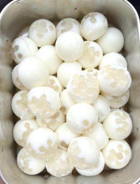 牛奶西米怎么煮不夹生_牛奶西米煮多久才透明-第2张图片-山城妙识