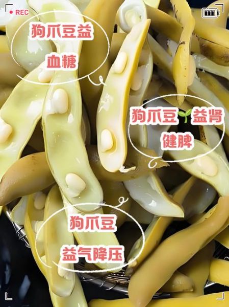 狗爪豆怎么种植_狗爪豆的功效与作用-第1张图片-山城妙识 狗爪豆怎么种植_狗爪豆的功效与作用-第1张图片-山城妙识