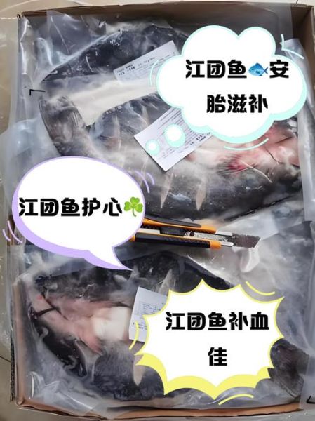 江团鱼的营养价值_江团鱼的功效与作用-第3张图片-山城妙识