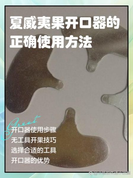 夏威夷果怎么打开_夏威夷果开壳技巧-第1张图片-山城妙识