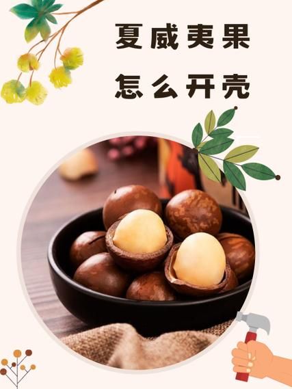 夏威夷果怎么打开_夏威夷果开壳技巧-第3张图片-山城妙识
