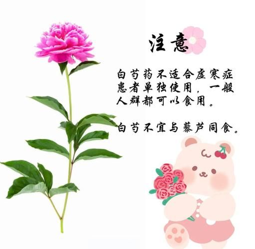 白芍甘草汤的功效与作用_白芍甘草汤怎么喝-第1张图片-山城妙识