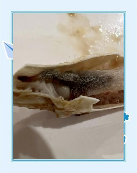 大闸蟹死了一天还能吃吗_如何判断是否变质-第3张图片-山城妙识 大闸蟹死了一天还能吃吗_如何判断是否变质-第3张图片-山城妙识