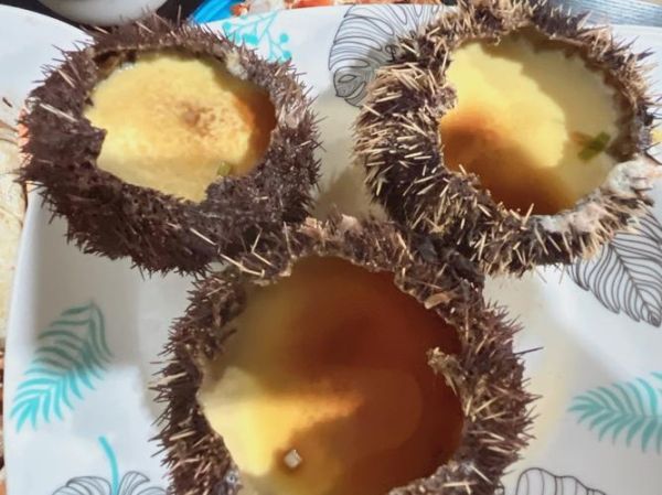 野生海胆多少钱一斤_怎么挑选最新鲜-第2张图片-山城妙识