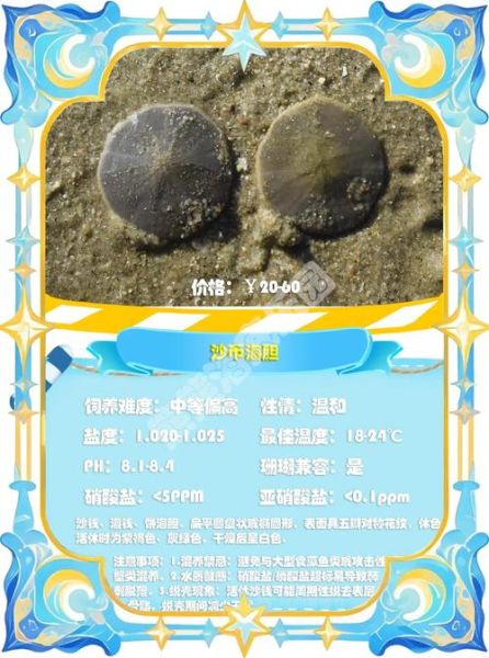 野生海胆多少钱一斤_怎么挑选最新鲜-第3张图片-山城妙识