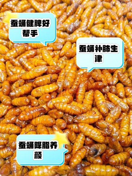 蝉蛹是什么_蝉蛹可以吃吗-第1张图片-山城妙识