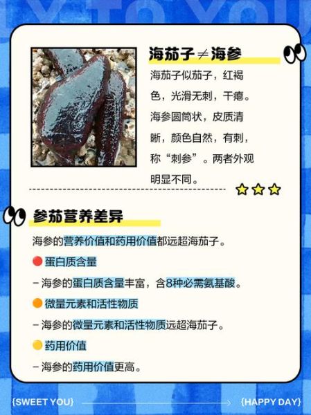 海茄子有什么营养价值_海茄子和海参区别-第1张图片-山城妙识 海茄子有什么营养价值_海茄子和海参区别-第1张图片-山城妙识