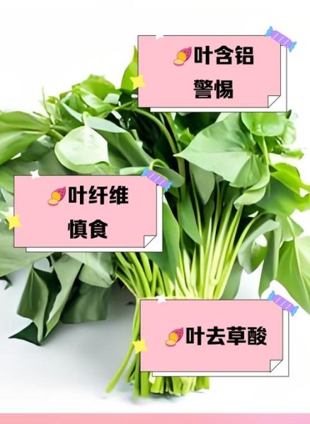 红薯叶尽量少吃_红薯叶吃多了有什么危害-第2张图片-山城妙识