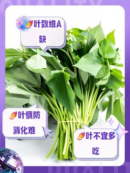 红薯叶尽量少吃_红薯叶吃多了有什么危害-第3张图片-山城妙识