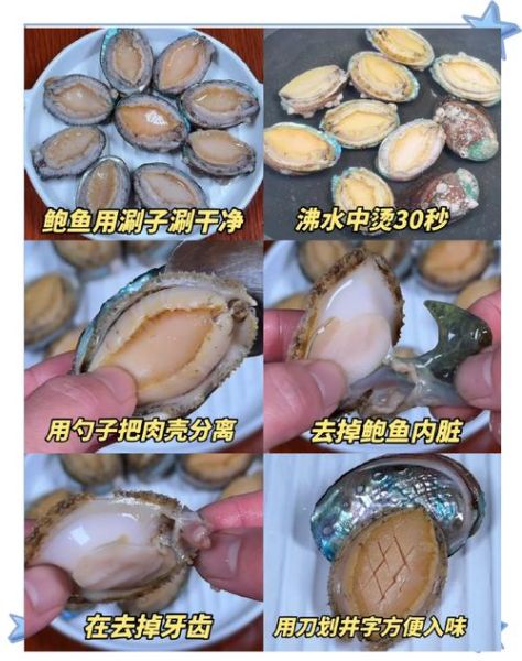 鲍鱼蒸几分钟合适_清蒸鲍鱼最佳时间-第3张图片-山城妙识